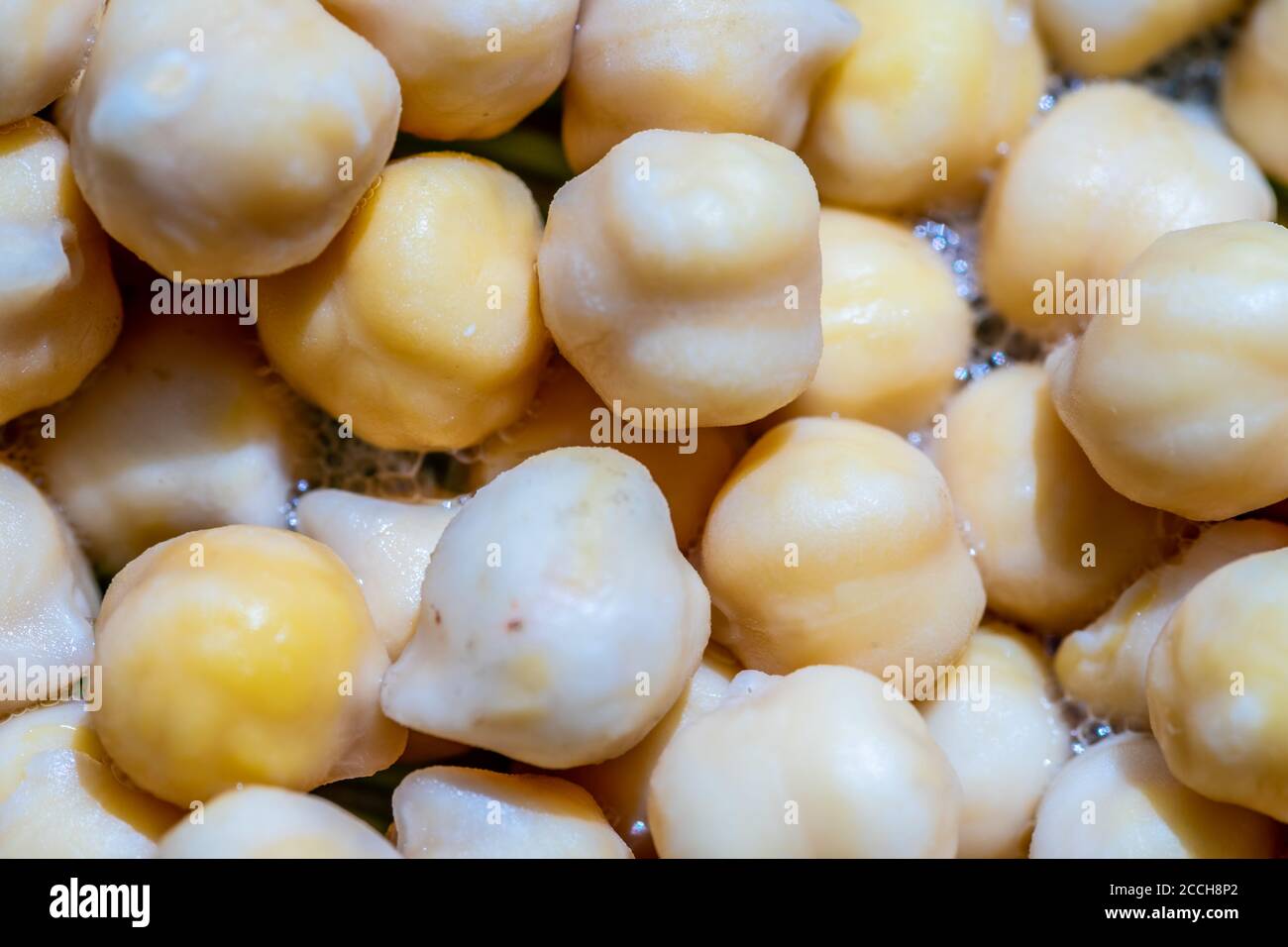 grain chickpea close-up for sprouting Stock Photo - Alamy