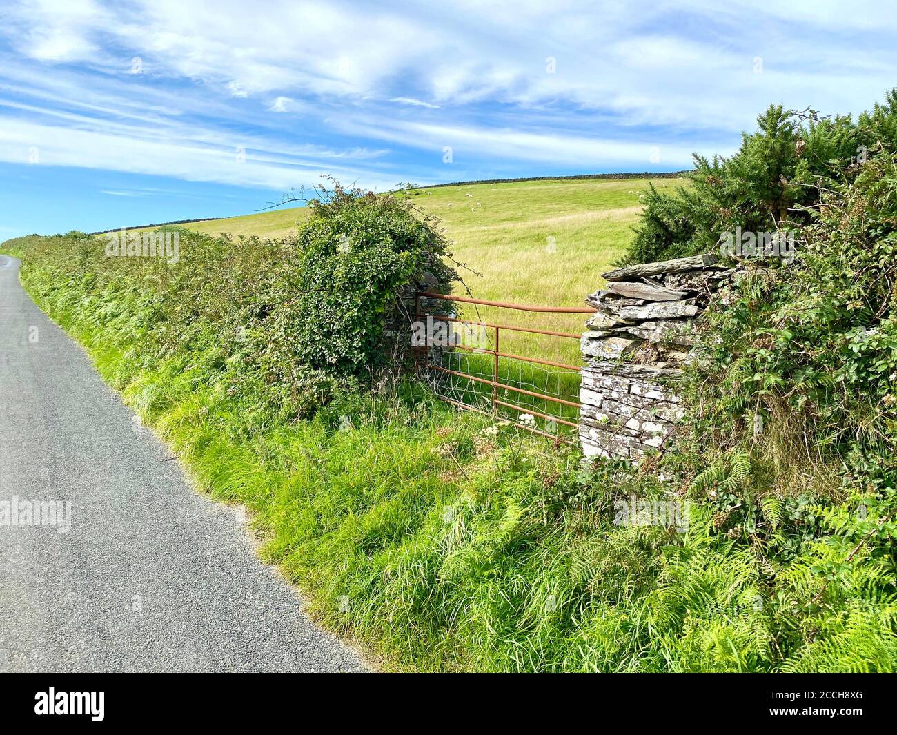 Farm gate to meadows in the Maughold area of the Isle of Man Stock ...