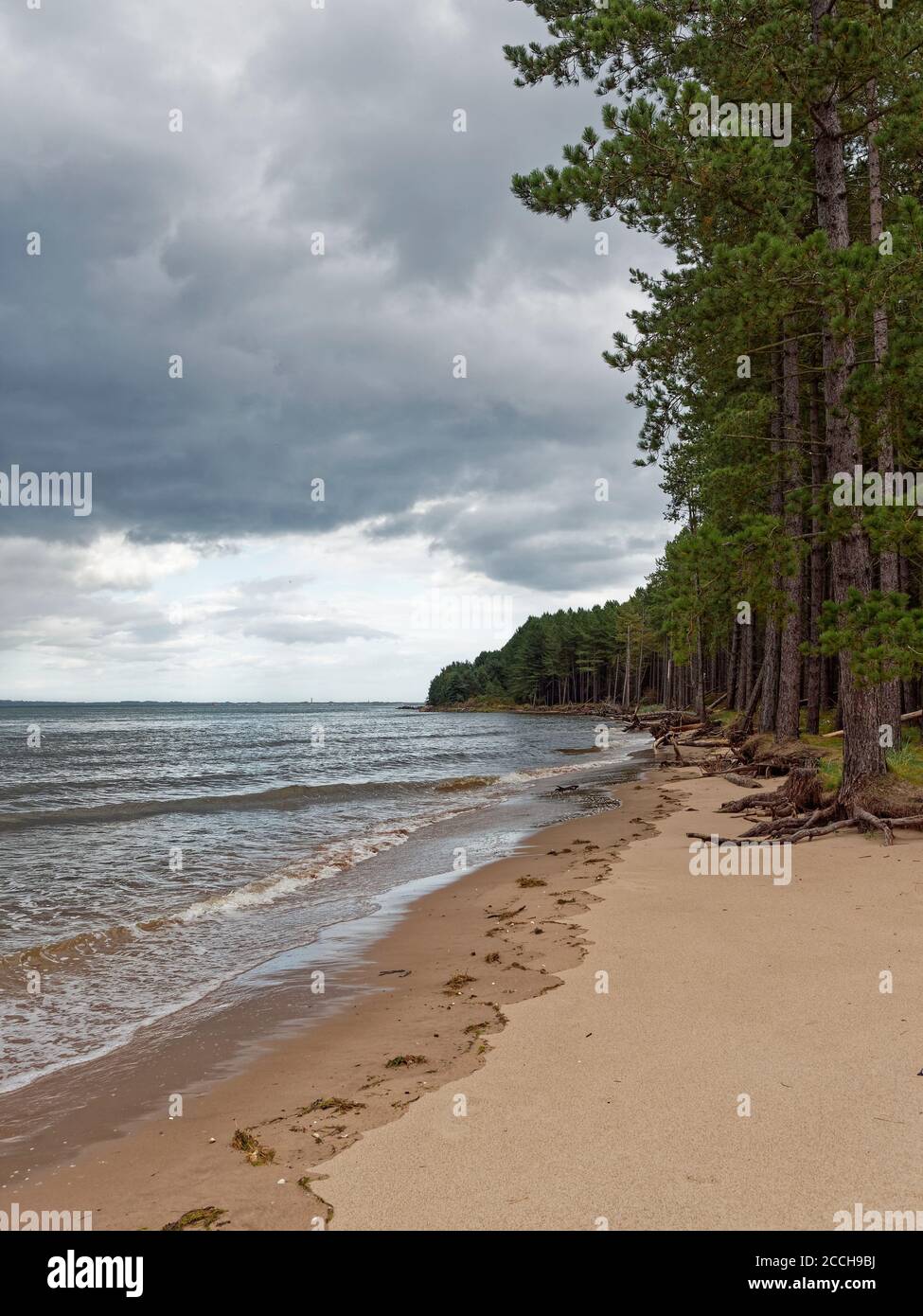 A small secluded sandy Beach on the Tay estuary beside Tentsmuir Nature ...