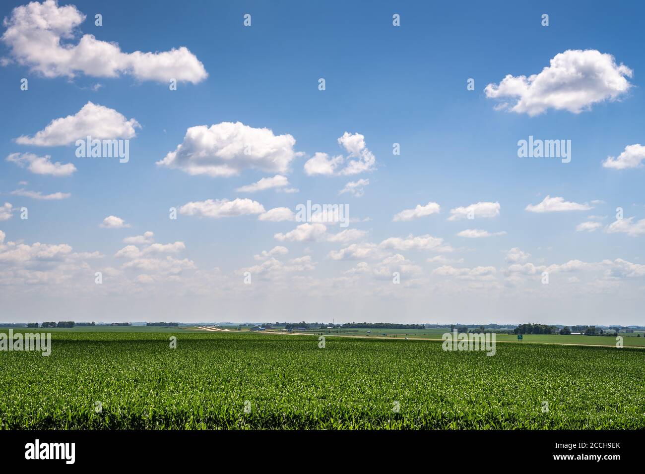 Iowa corn fields hi-res stock photography and images - Alamy