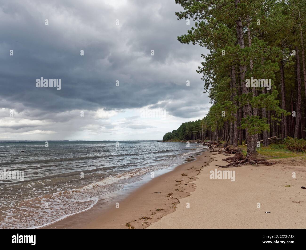 A remote sandy beach on the Tay estuary beside the Fife Coastal ...
