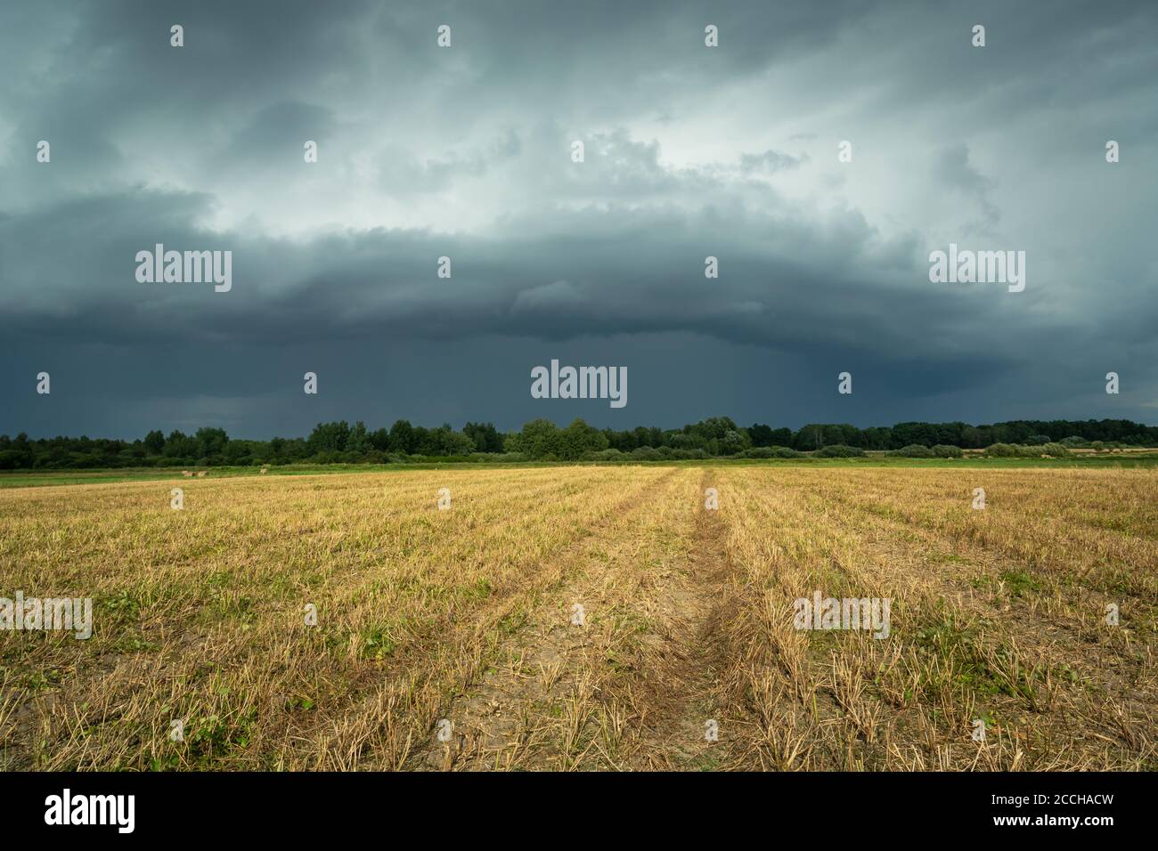 Dark field hi-res stock photography and images - Alamy