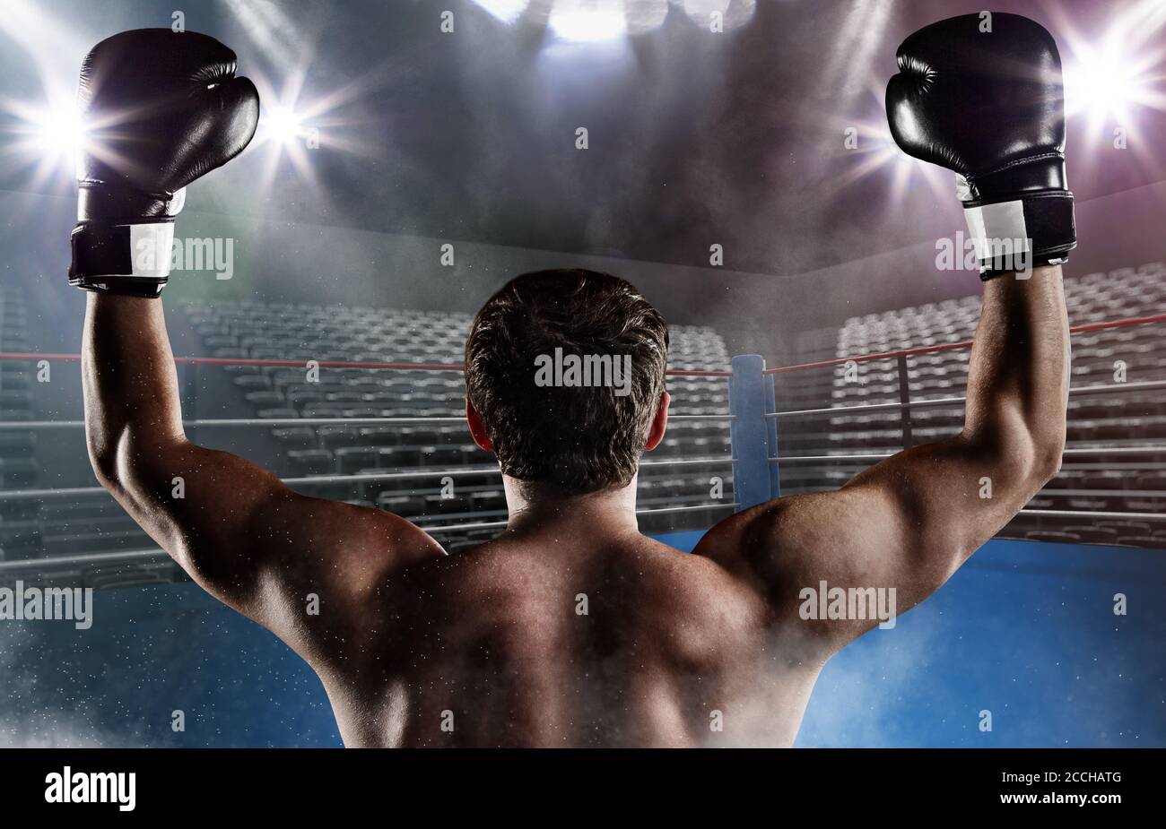 Back view of man boxer with raised hands in victory gesture. Concept of ...