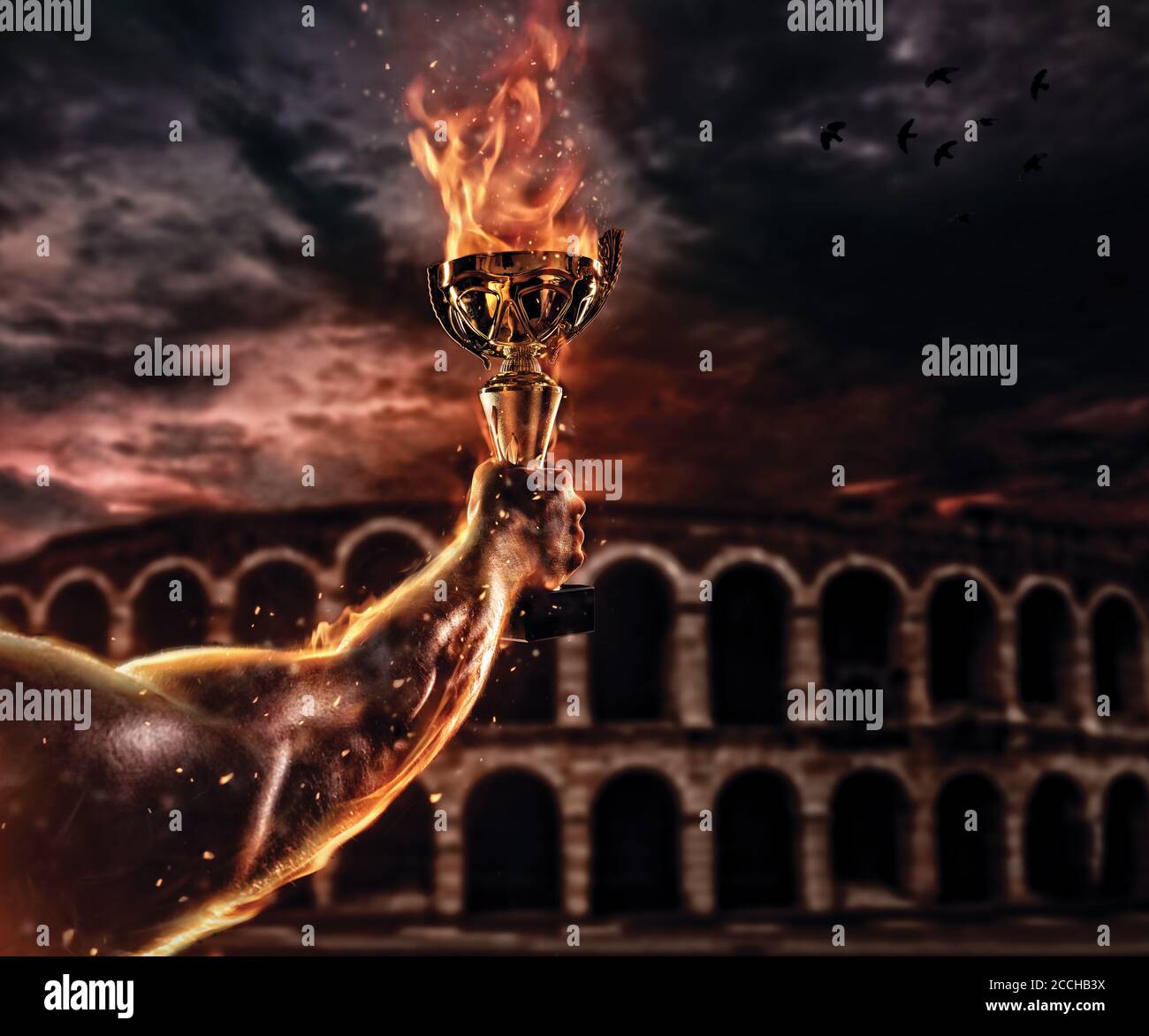 Catching Fire Arena Background