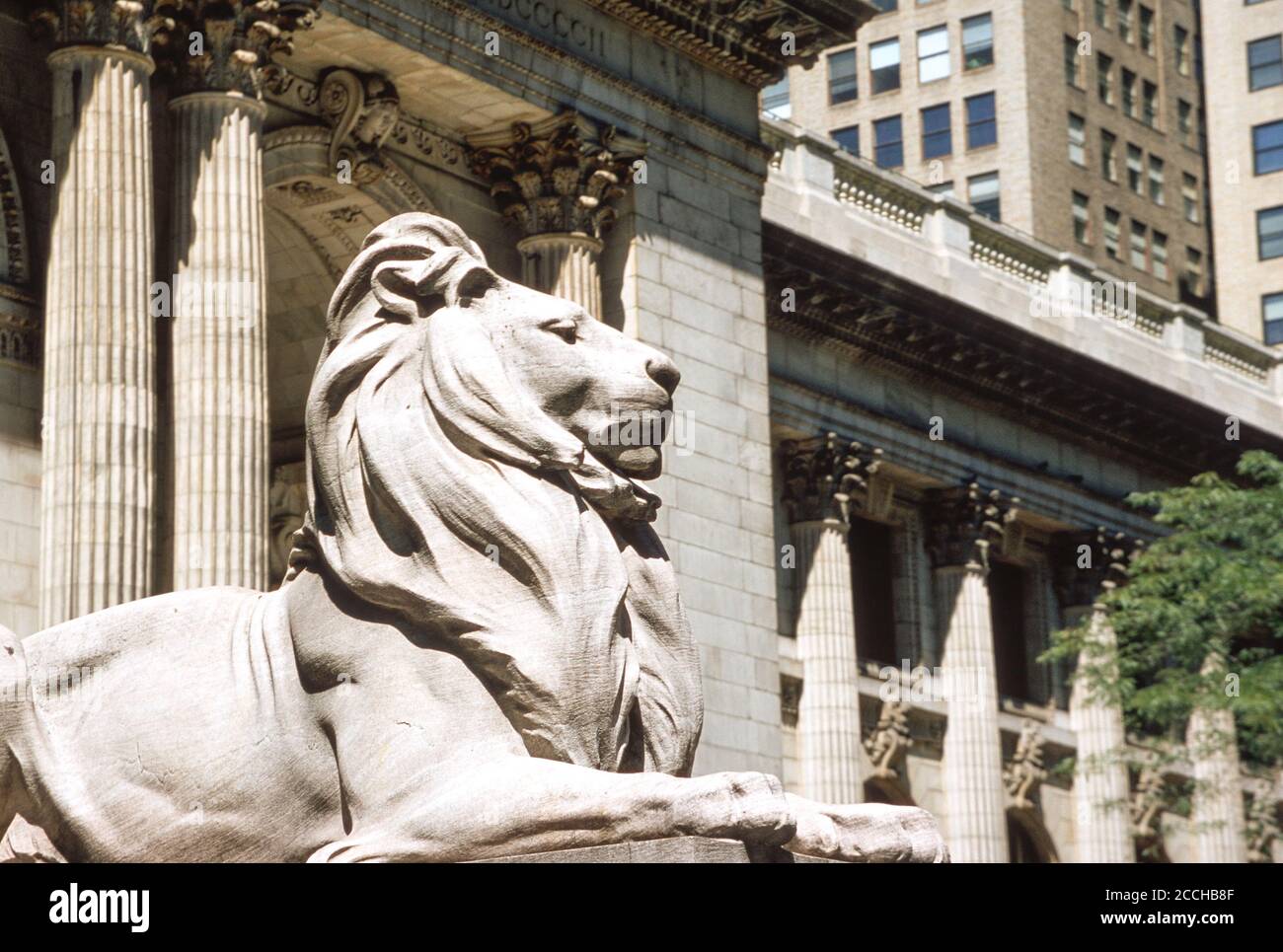Lion Statue, New York Public Library, Main Branch, NYC Stock Photo - Alamy