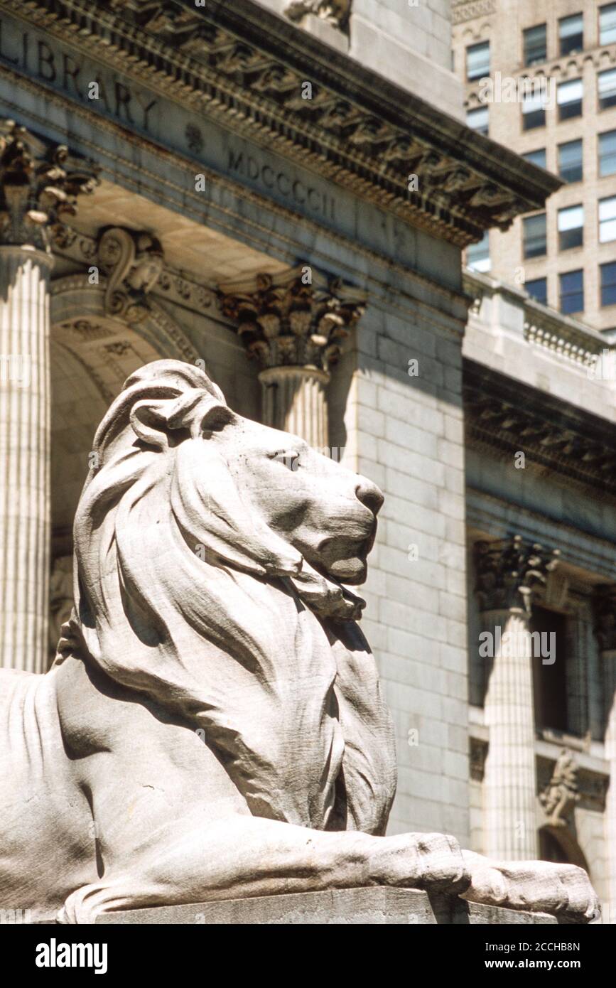 Lion Statue, New York Public Library, Main Branch, NYC Stock Photo - Alamy
