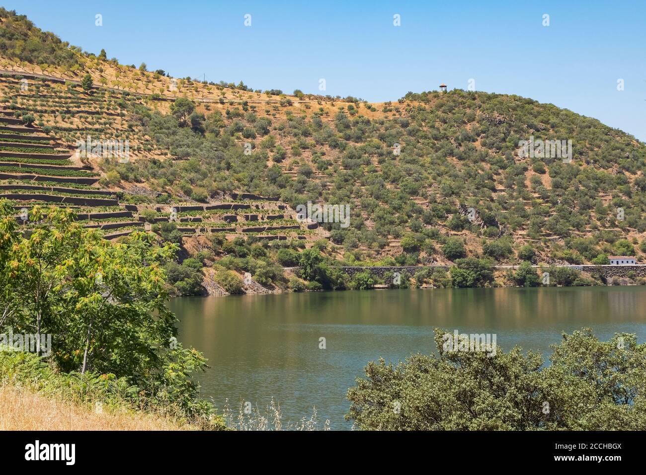 Beautiful Panoramic view of The Valley of the River Douro, Portugal ...