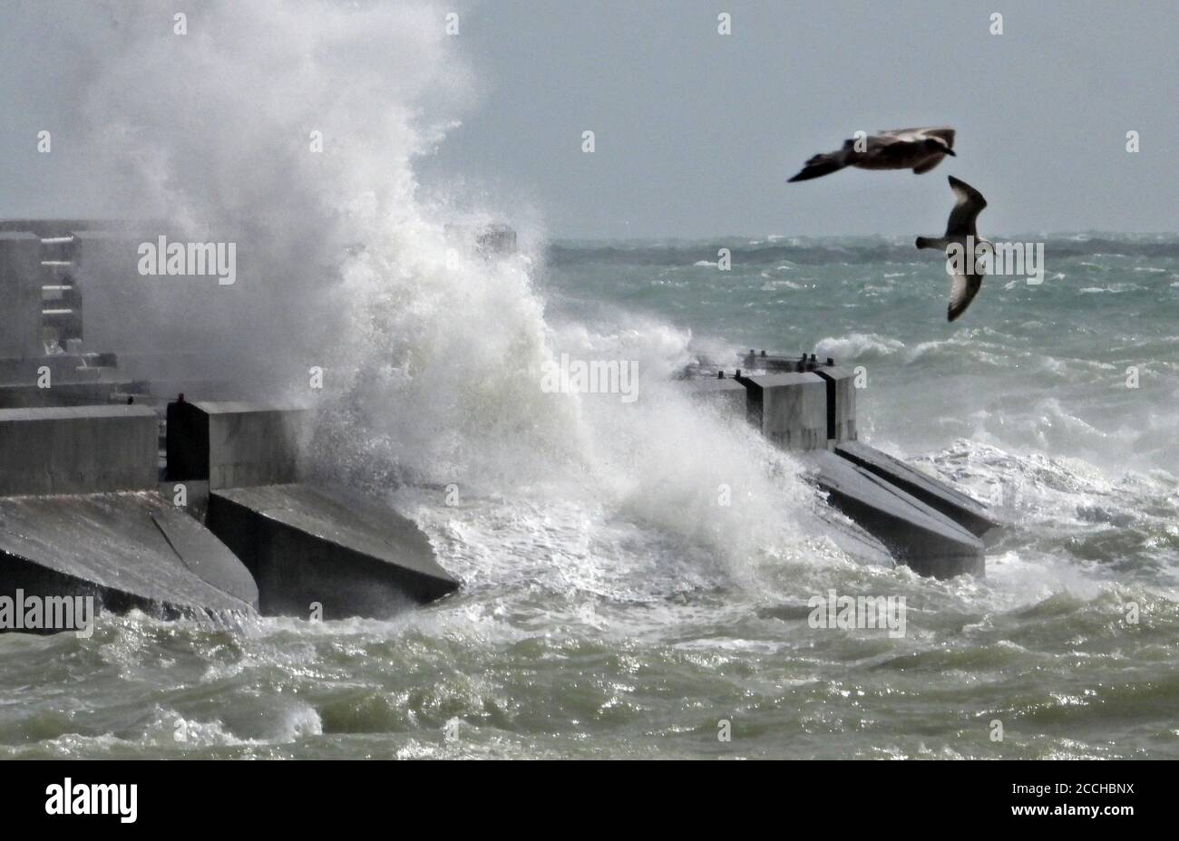 50 mph winds hi-res stock photography and images - Alamy