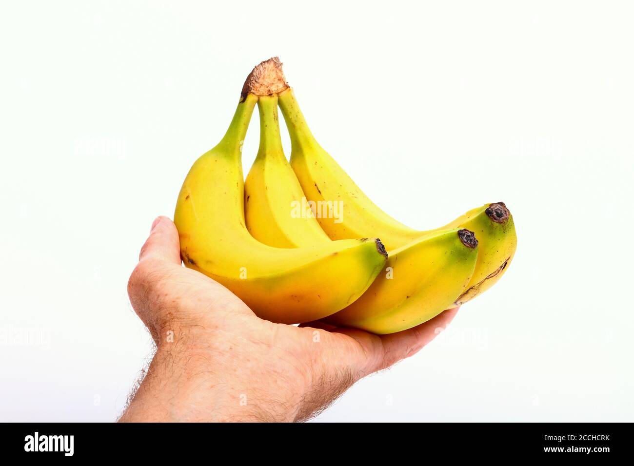 Mans hand holding a bunch of bananas isolated on a white background ...