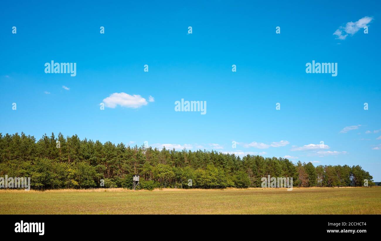 Summer edge of the forest hi-res stock photography and images - Alamy