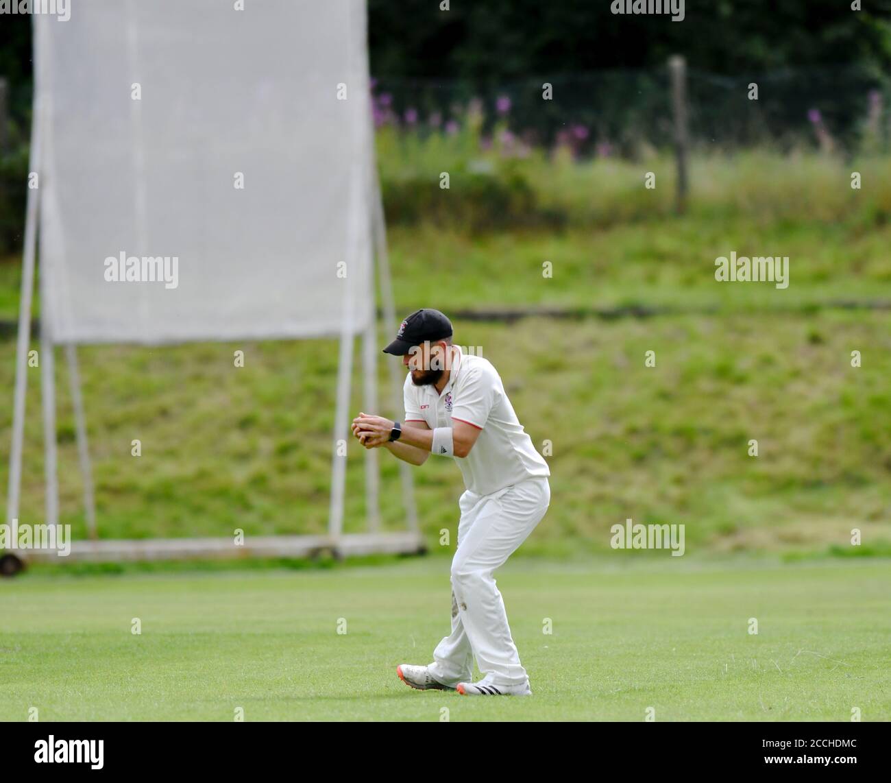 Fielder takes a catch High Resolution Stock Photography and Images - Alamy
