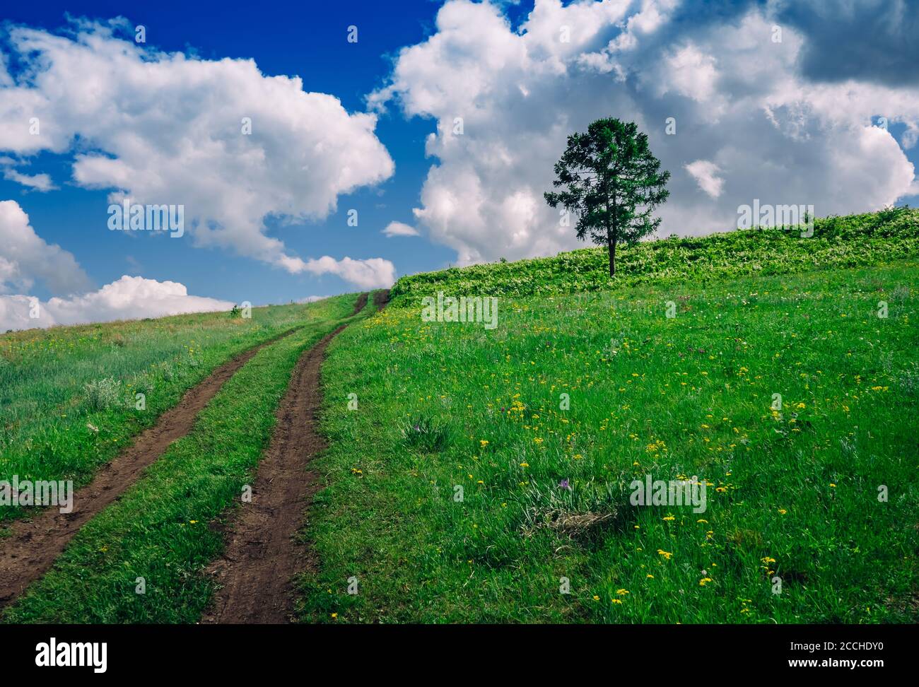 Soft path hi-res stock photography and images - Alamy