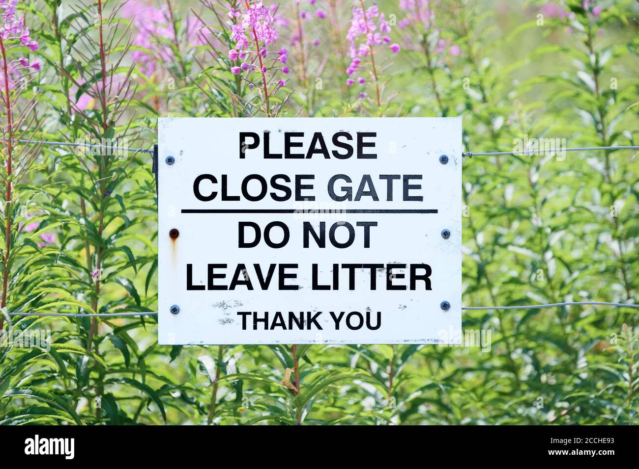 Litter sign information warning hi-res stock photography and images - Alamy