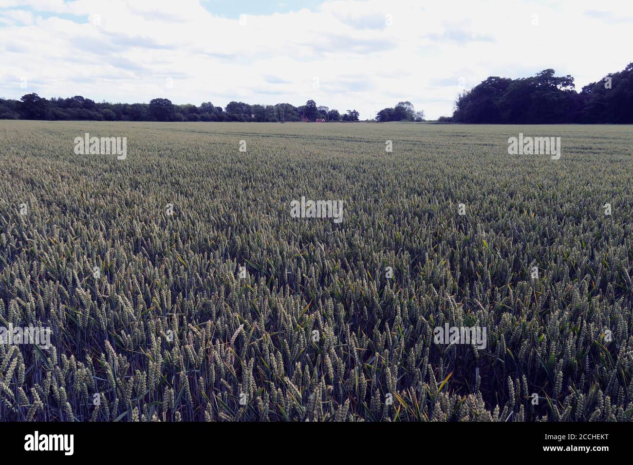 Dull weather hi-res stock photography and images - Alamy