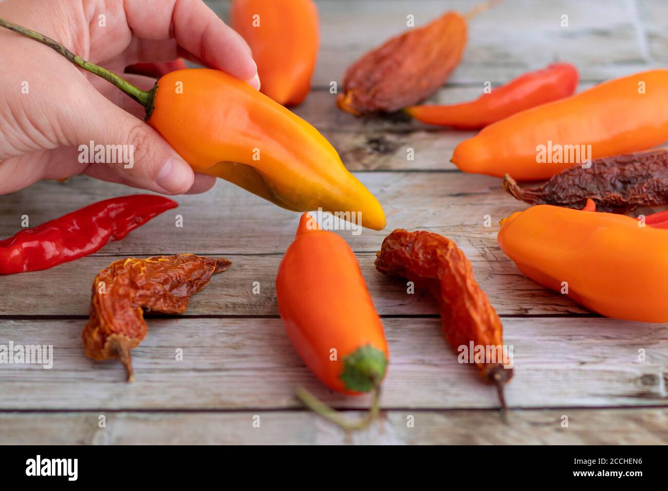 Seasoning yellow hi-res stock photography and images - Alamy