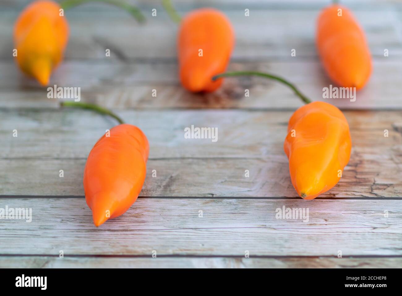 Yellow peppers, the main ingredient in Peruvian cuisine Stock Photo - Alamy