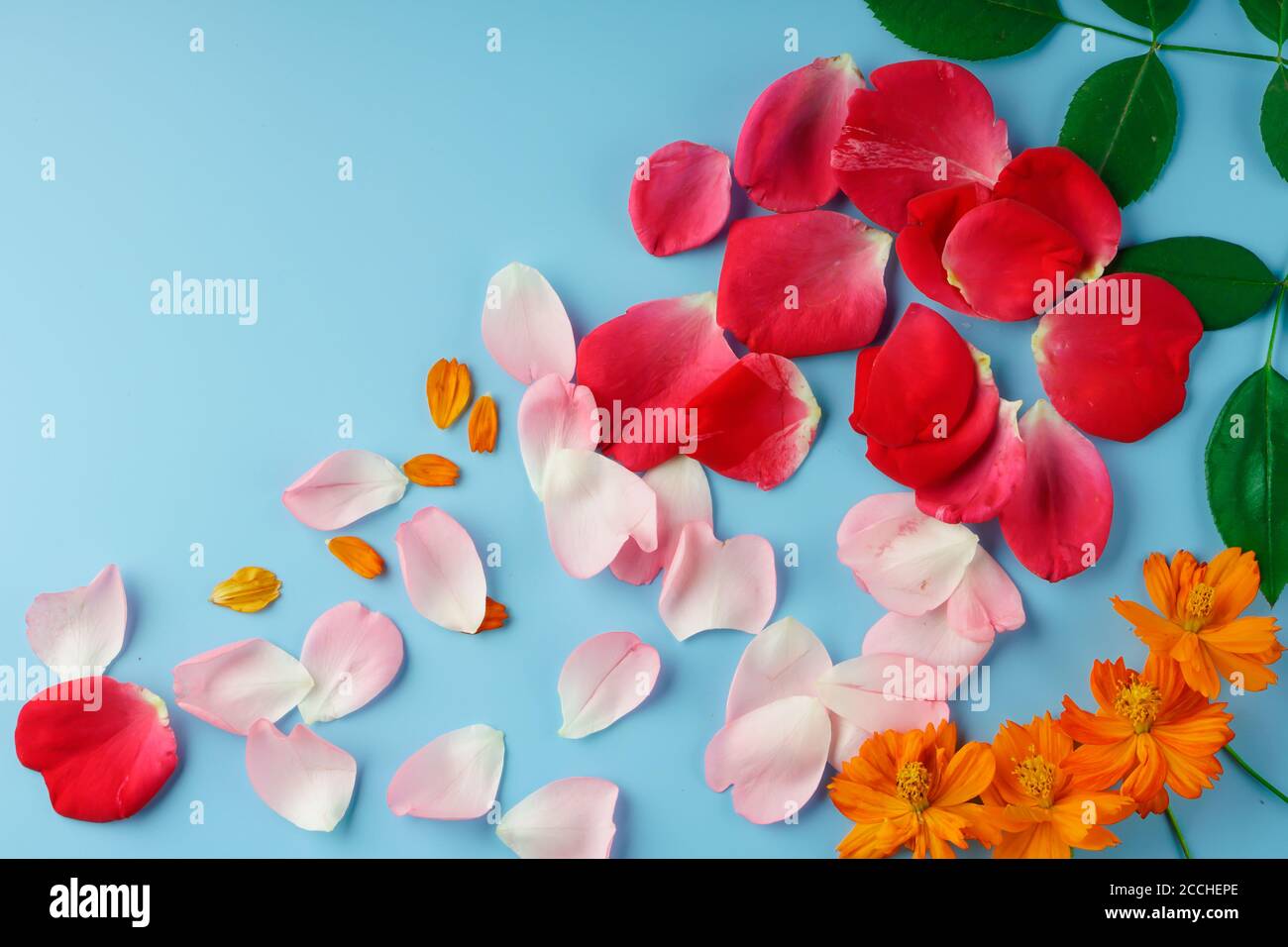 Scattered floral pattern hi-res stock photography and images - Alamy