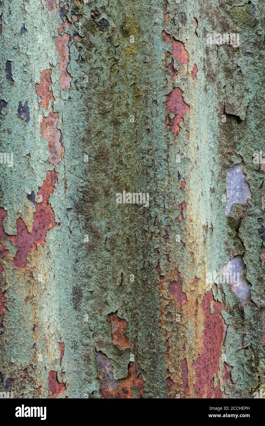 Faded orange and teal colours of flaking paint and rusting corrugated ...