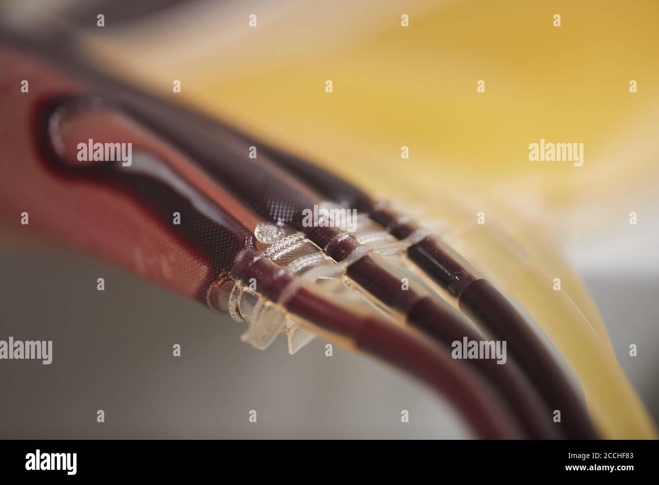 Donate blood and studio hi-res stock photography and images - Alamy