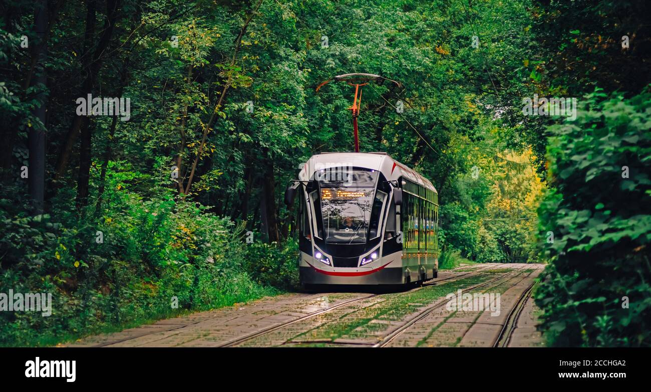 Modern Russian tramway in Moscow. A tram line among the forest Stock ...