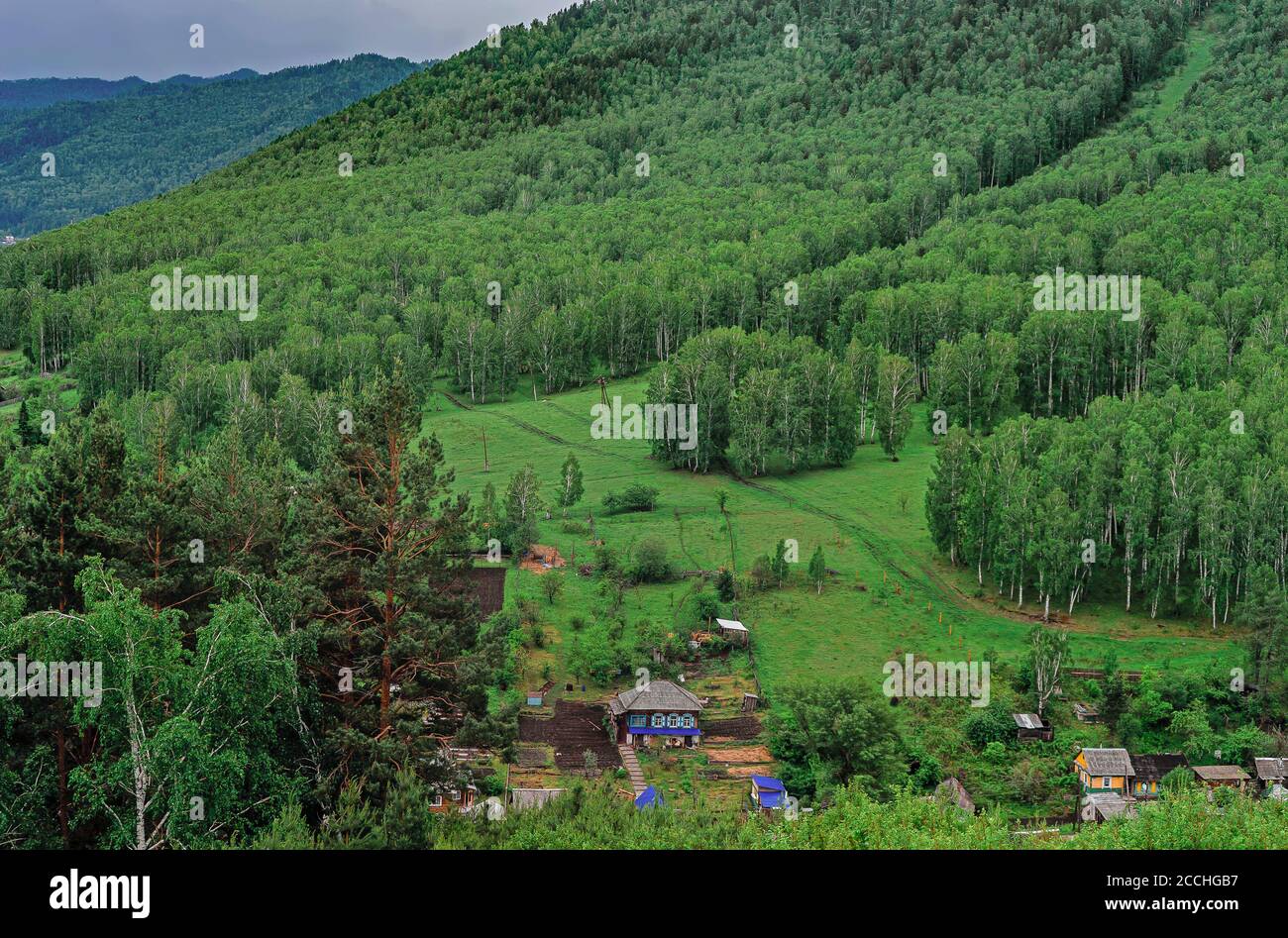Russian rural landscape in summer, village houses in greenery. The ...