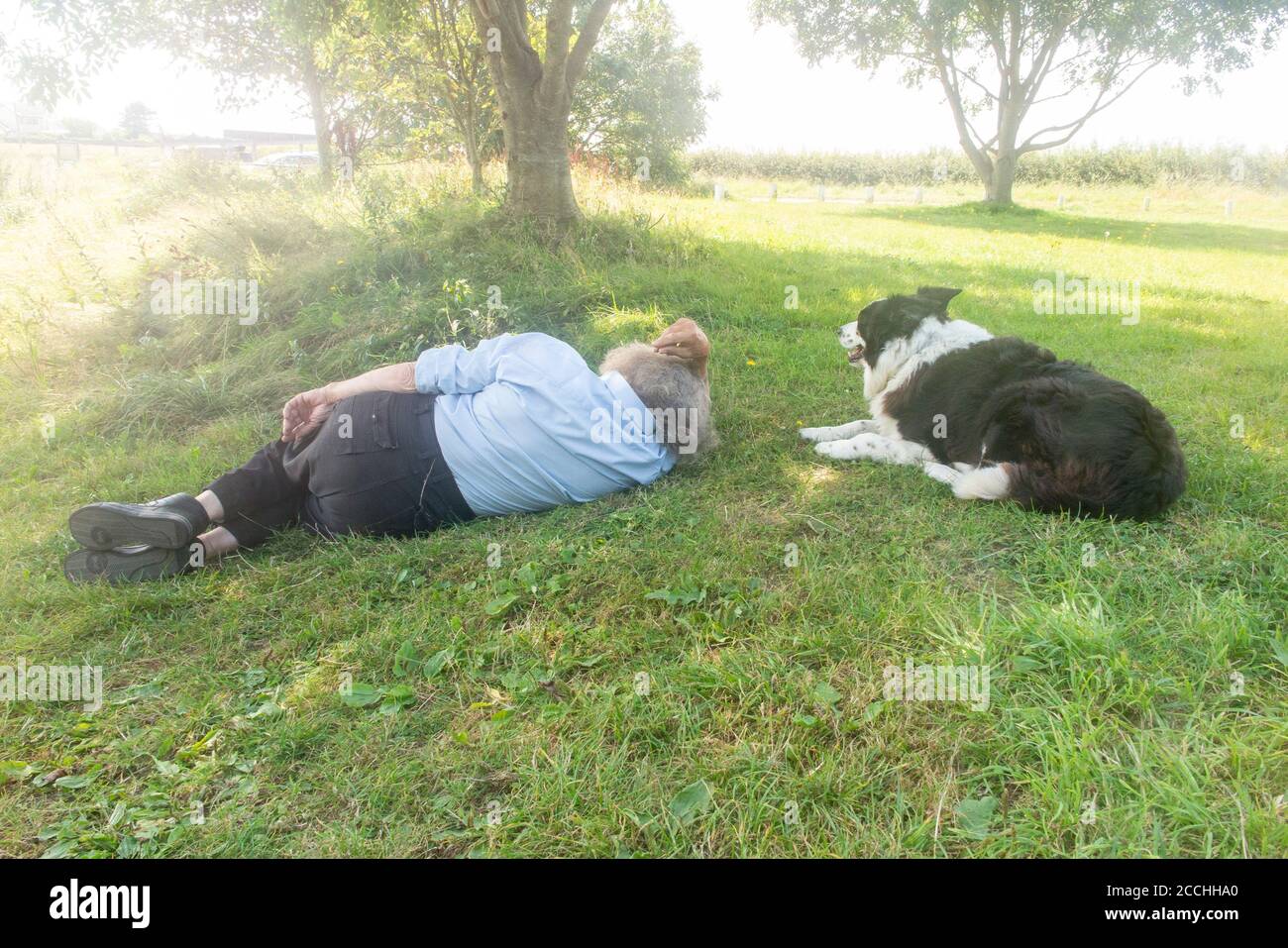 Mans best friend shepherd hi-res stock photography and images - Alamy