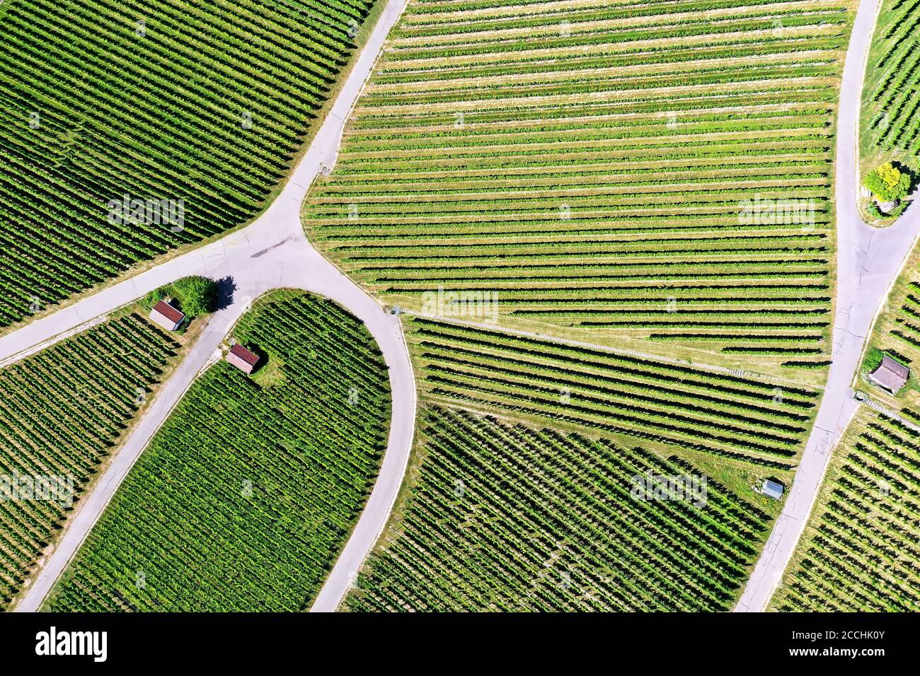 Vineyard from above with paths and roads Stock Photo - Alamy