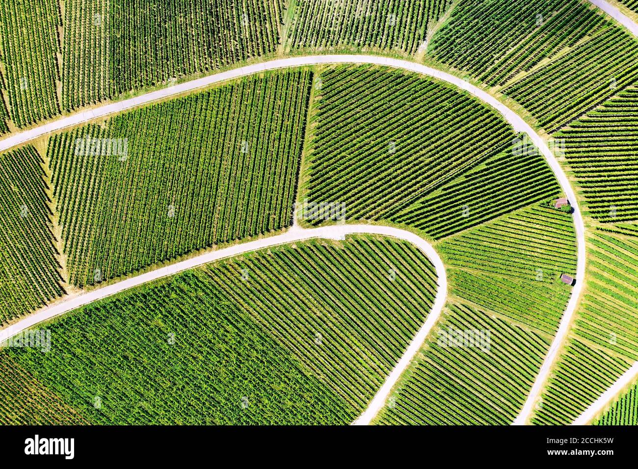 Vineyard from above with paths and roads Stock Photo - Alamy