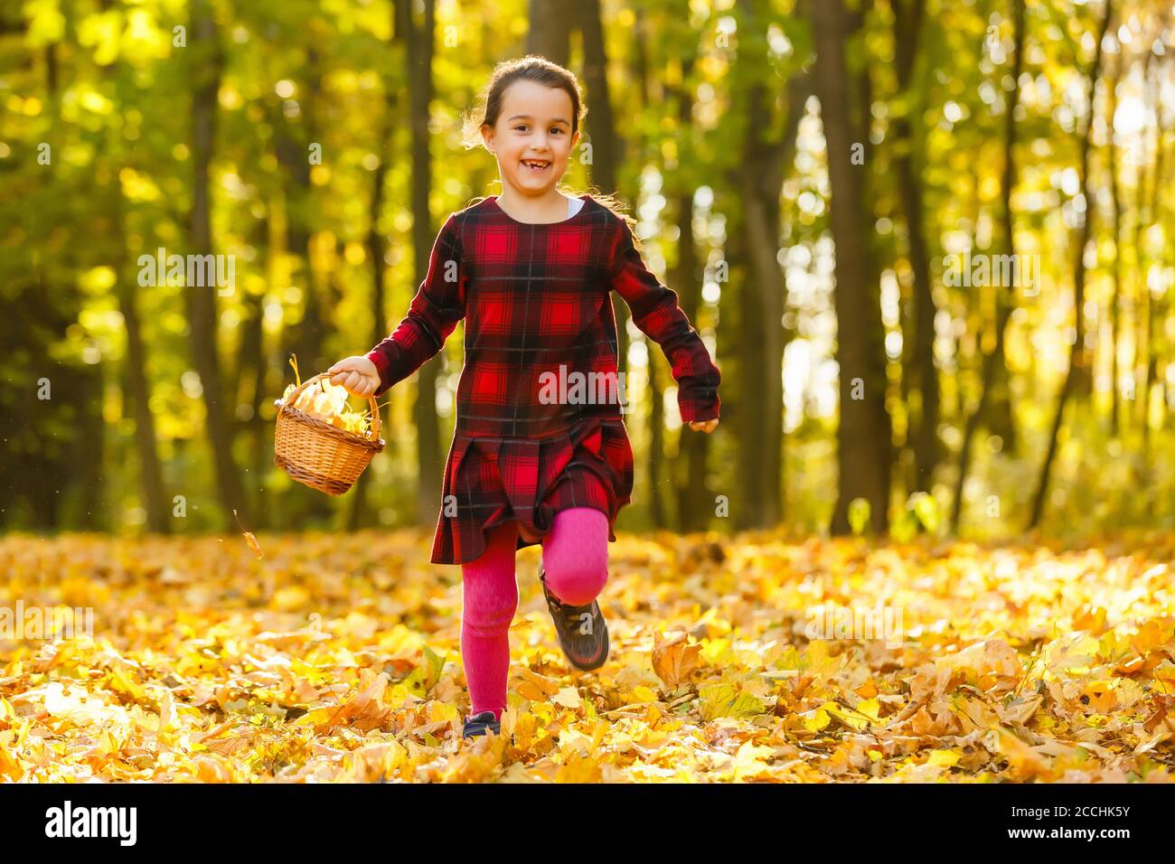 Beautiful little girl with autumn leaves outdoors Stock Photo - Alamy