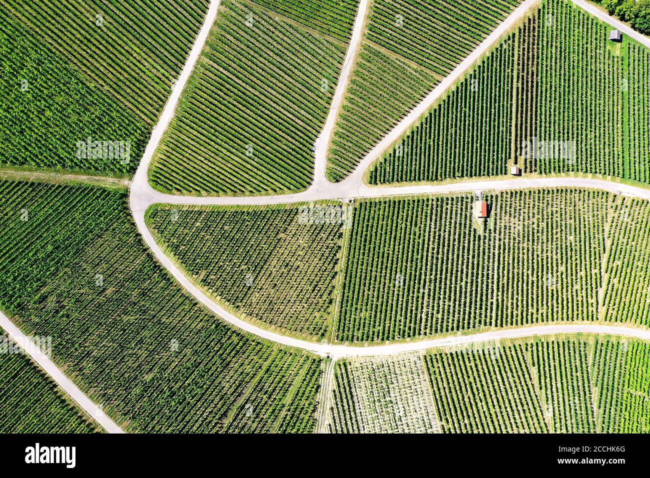 Vineyard from above with paths and roads Stock Photo - Alamy