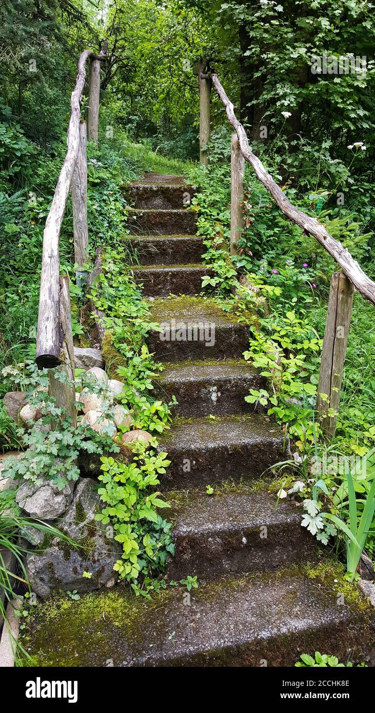 Natural stairs hi-res stock photography and images - Alamy