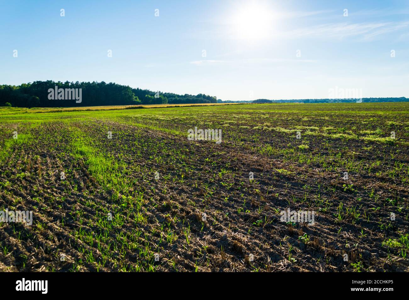 A photograph of tilled farmland after harvest Stock Photo - Alamy