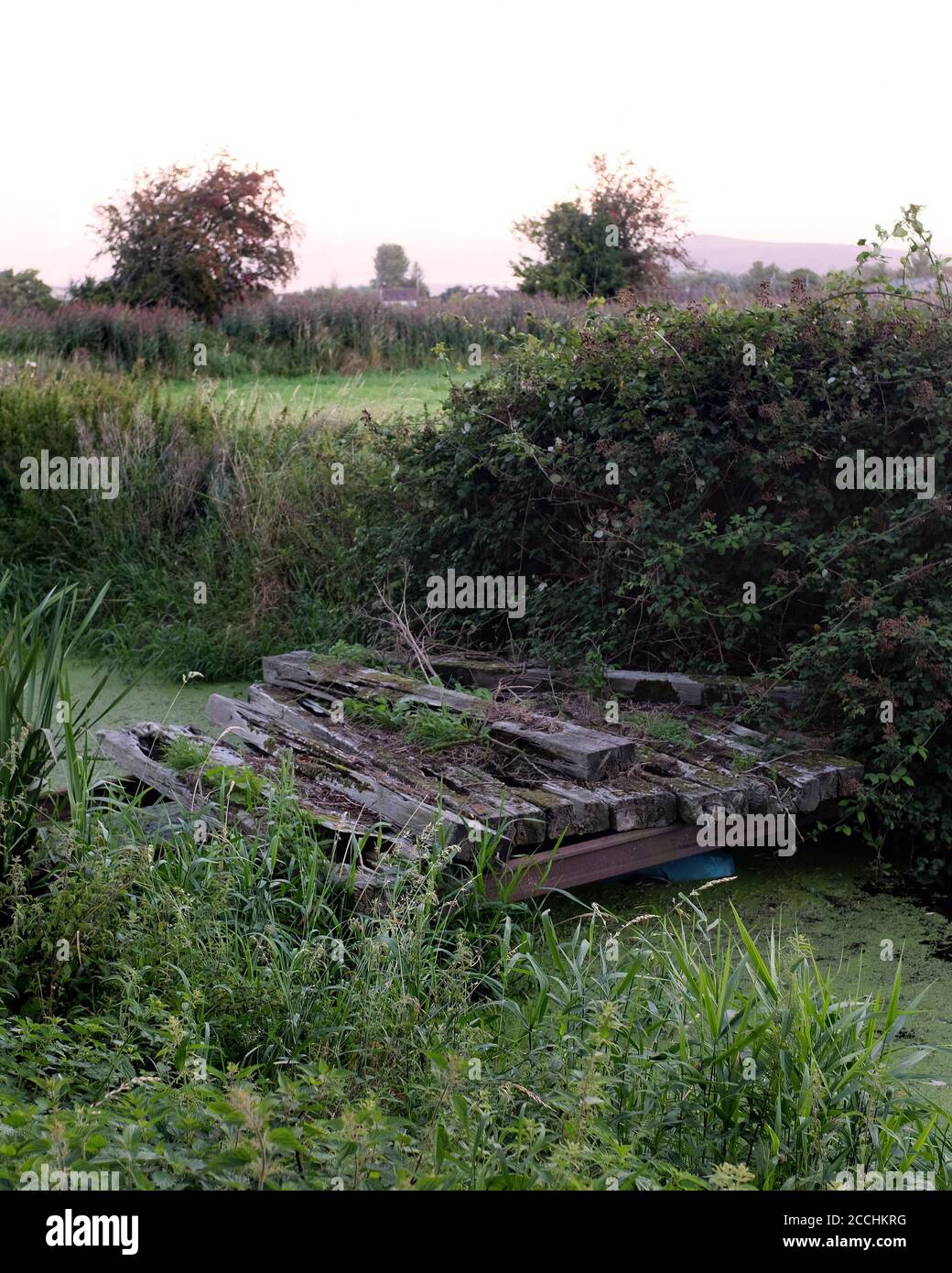 Rotten bridge hi-res stock photography and images - Alamy