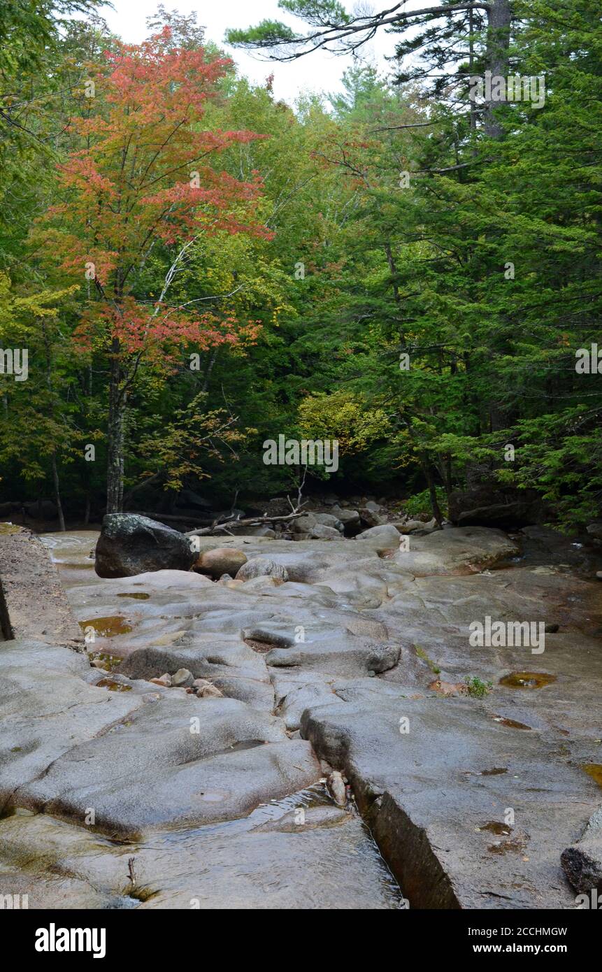 Wet slick rocks on a rainy day in the white mountains Stock Photo - Alamy
