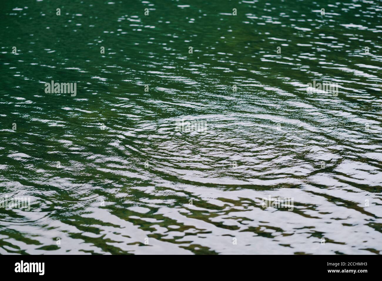 Water circles in the lake Stock Photo - Alamy