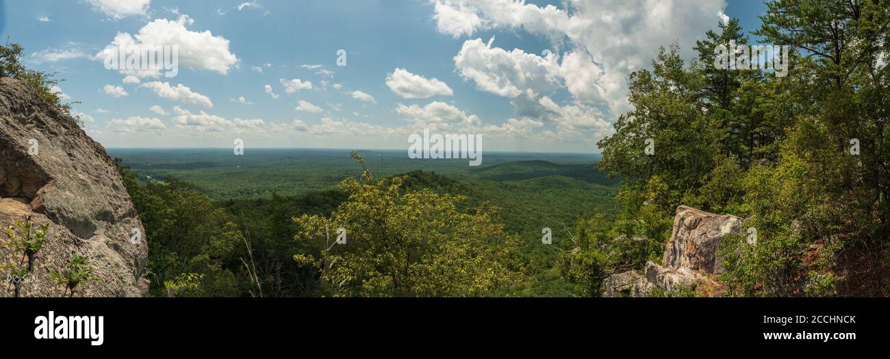 Bird Flying Dog Jumping Stock Photo - Alamy