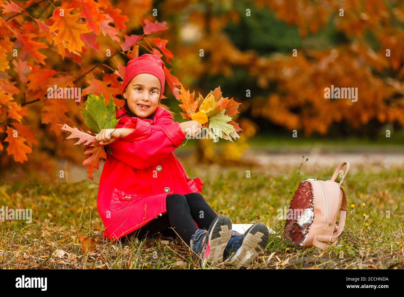 adorable little girl with autumn leaves in the beauty park Stock Photo ...