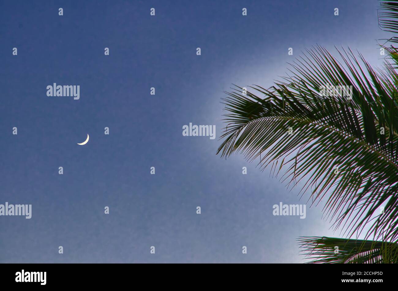 Cresent moon hi-res stock photography and images - Alamy