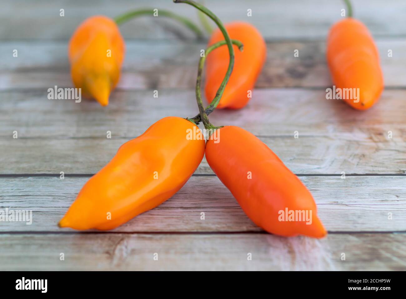 Yellow peppers, the main ingredient in Peruvian cuisine Stock Photo - Alamy