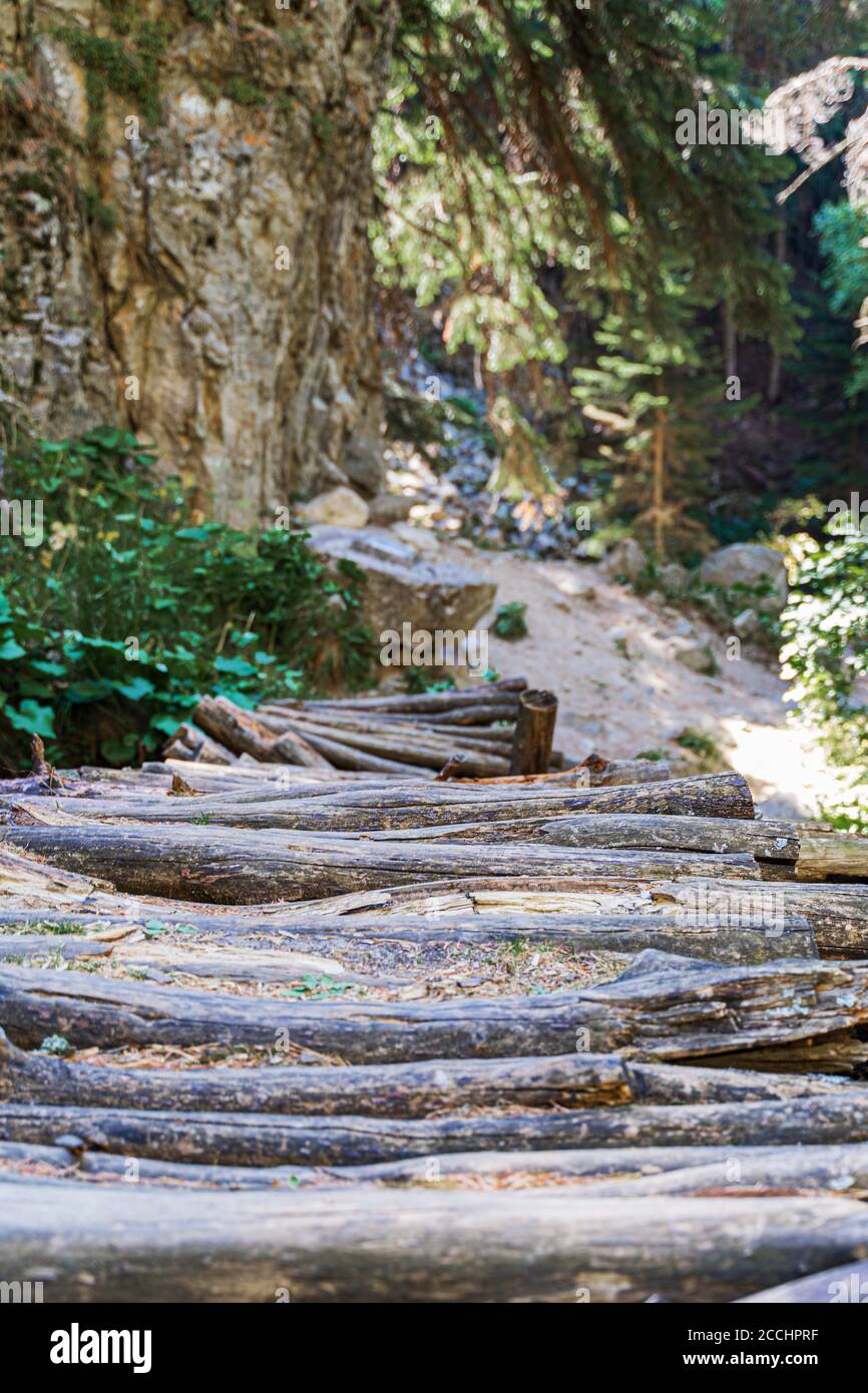 log bridge in the mountains across the stream from the waterfall Stock ...