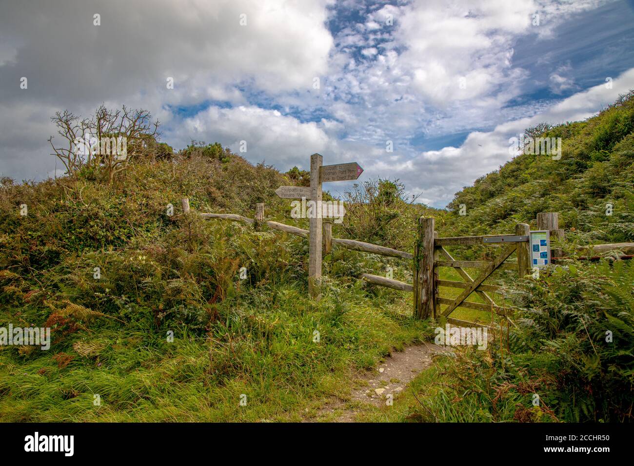Highest point south coast hi-res stock photography and images - Alamy