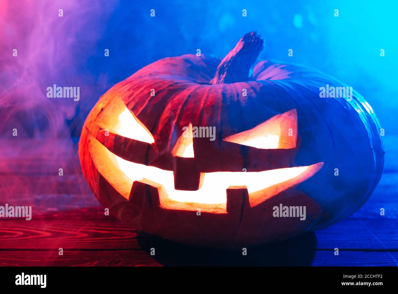 Halloween Pumpkin On a Tree In a dark Forest at Night Stock Photo - Alamy
