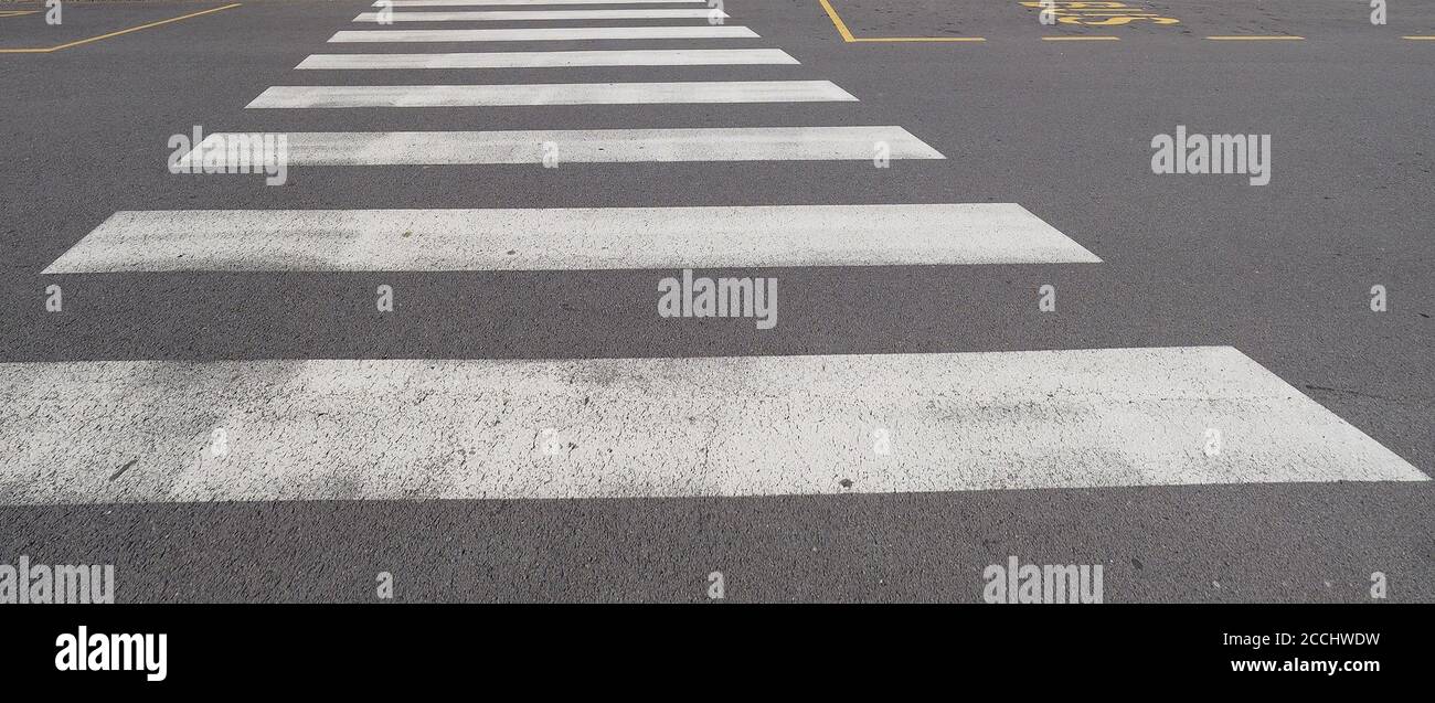 Warning signs, zebra crossing traffic sign painted on street tarmac ...