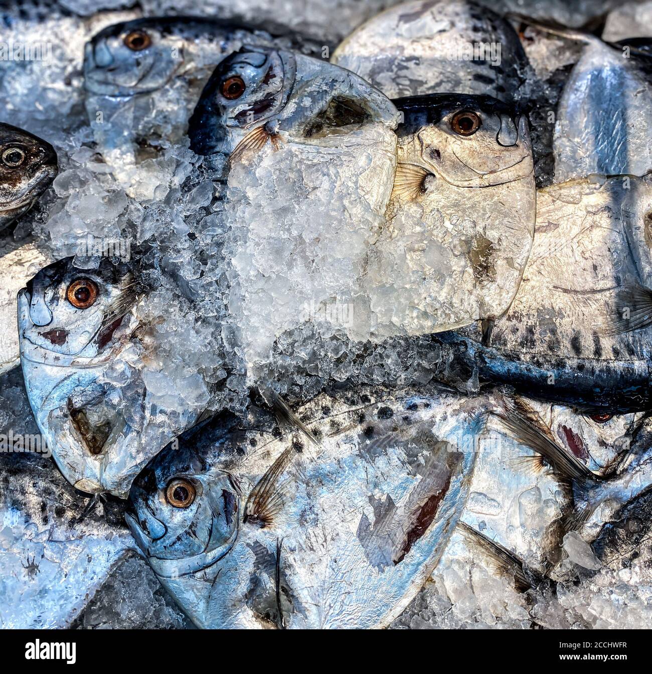fresh fish on display at Asian supermarket Stock Photo - Alamy