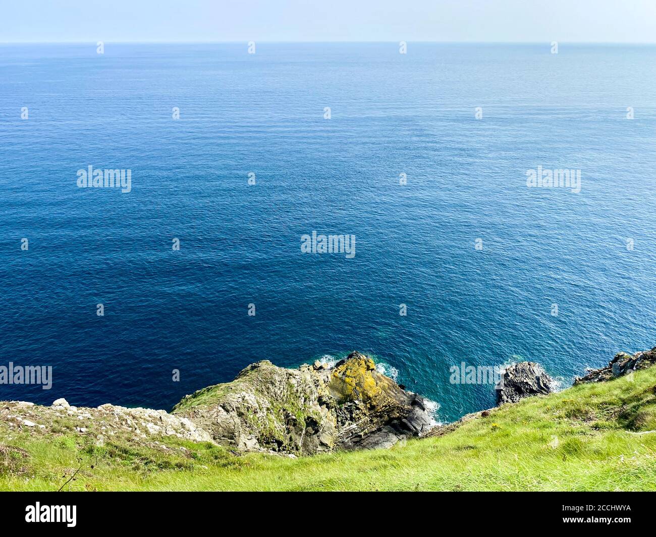 Manx wildflowers hi-res stock photography and images - Alamy