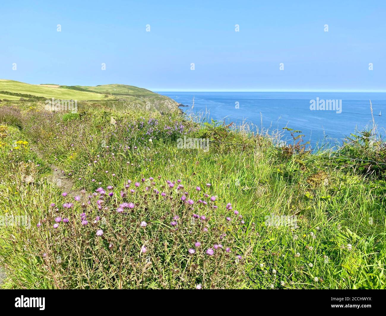 The beautiful rugged coastline of the Isle of Man Stock Photo - Alamy