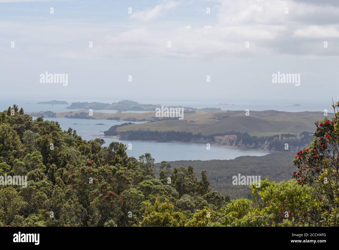 Scenic view from Rangitoto Island, New Zealand Stock Photo - Alamy