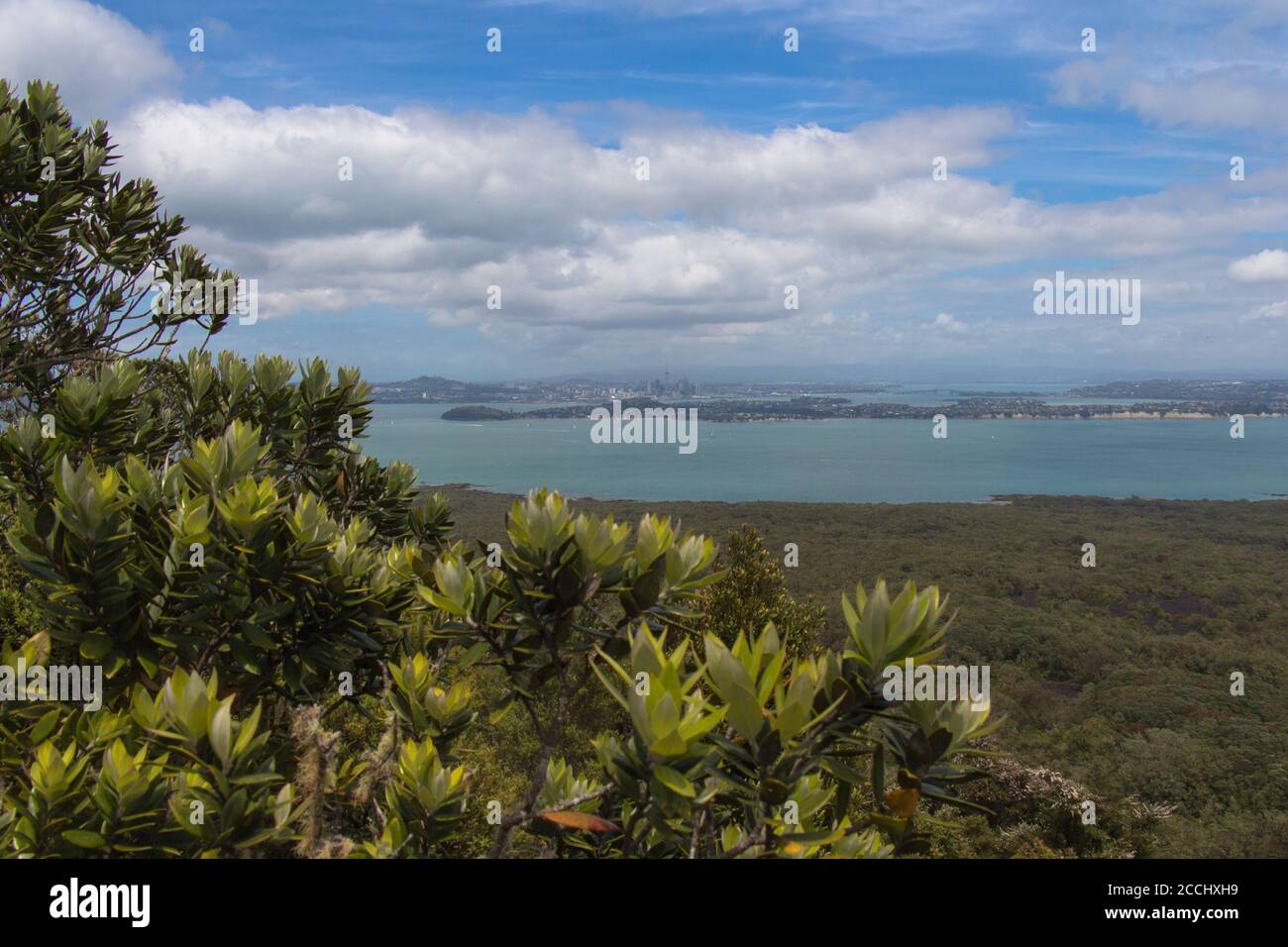 The view of Auckland City from Rangitoto Island, New Zealand Stock ...