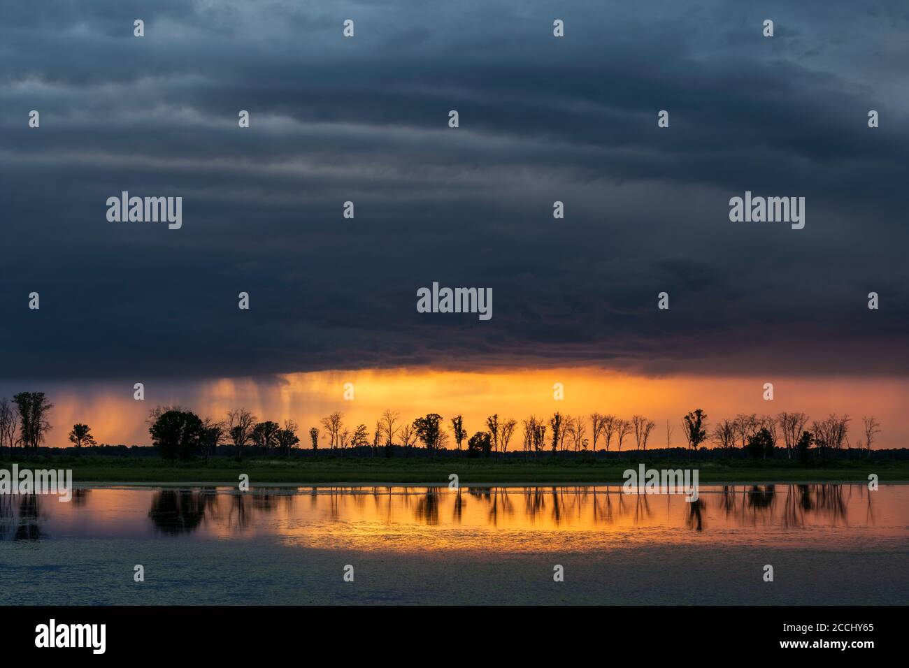Approaching thunderstorms over wetland, at sunset, Summer, WI, USA, by ...