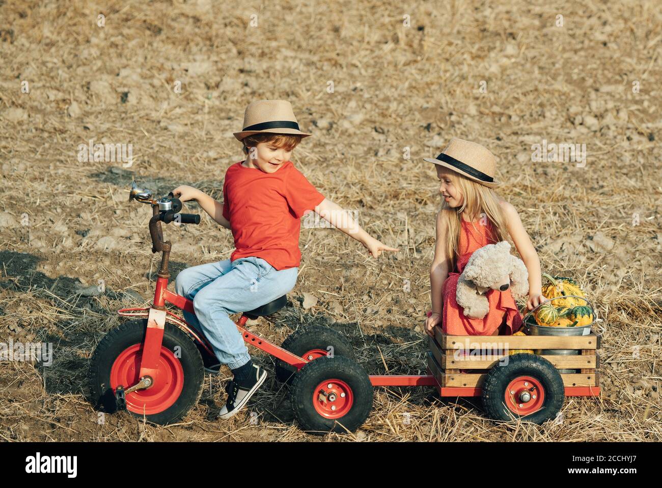 Cute little children farmers - sister and brother working with spud on ...